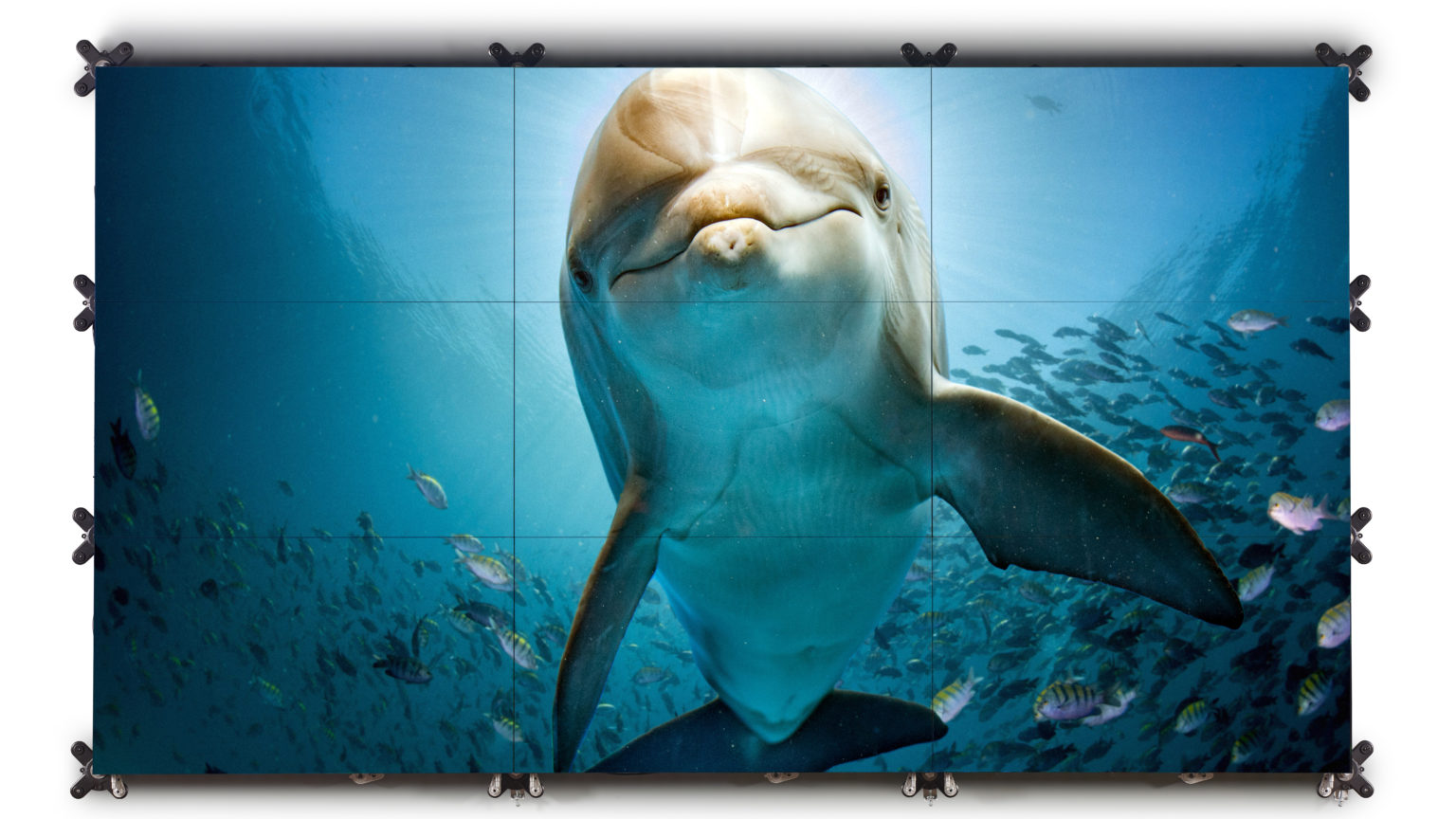 CEDIA 2021: Barco Broadens LED XT Series Line - Residential Systems