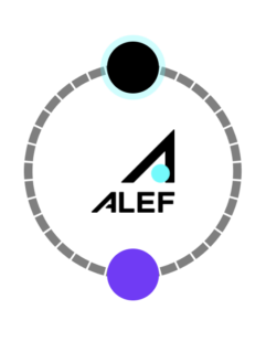 Alef Partners With LittleBird For Enhanced Network Connectivity ...