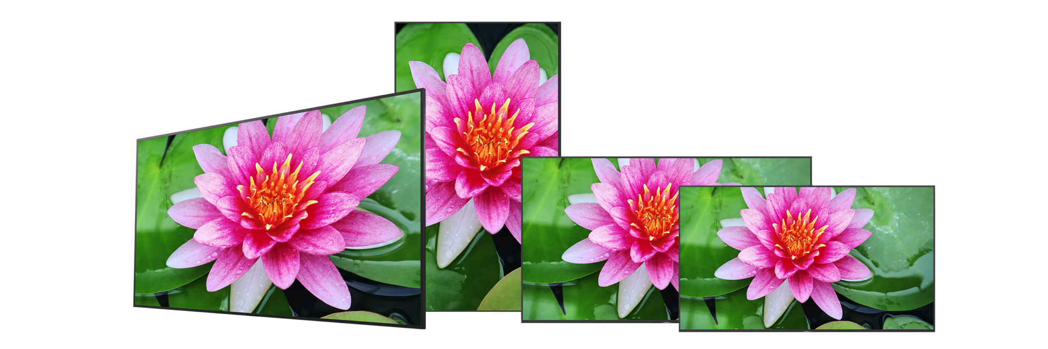 Sony Adds 16 New Models to Professional BRAVIA Displays Line ...