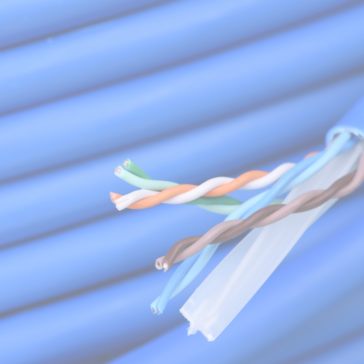 Kordz Release New Article Explaining the Difference Between Good and ...